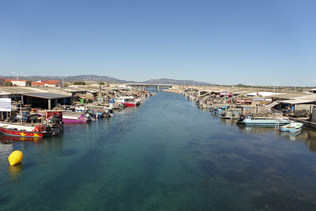 Top 10 des activités à faire au Barcarès